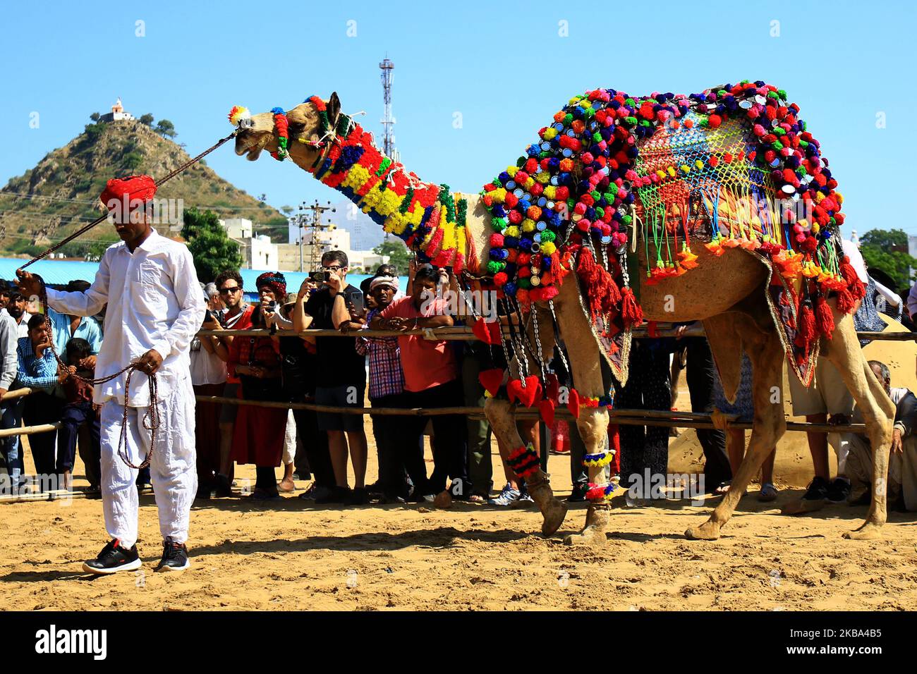 An Indian camel herder displays his camel during a camel decoration ...