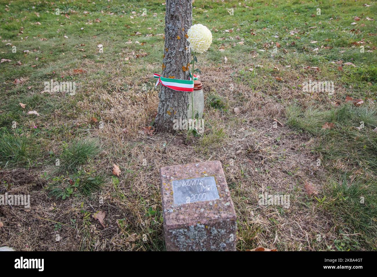 The Szineszliget actors cove is seen in Bogacs, Hungary on 1 November ...