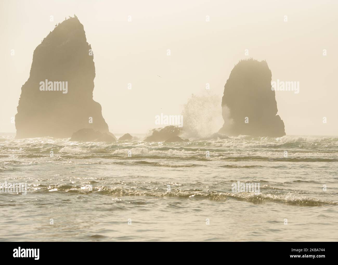 Oregon coast haystack rocks hi-res stock photography and images - Alamy