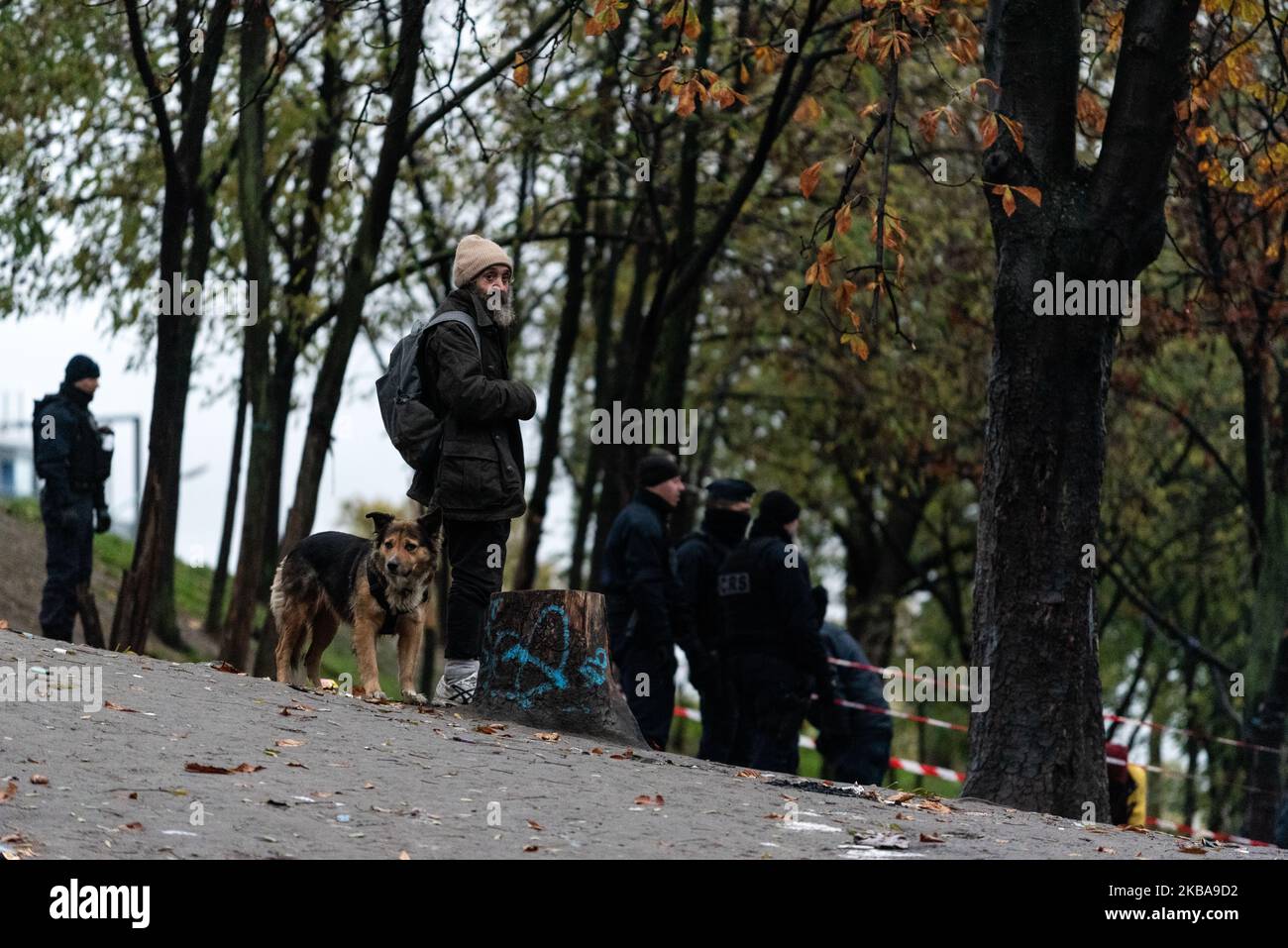 Homeless person observes dog hi-res stock photography and images - Alamy