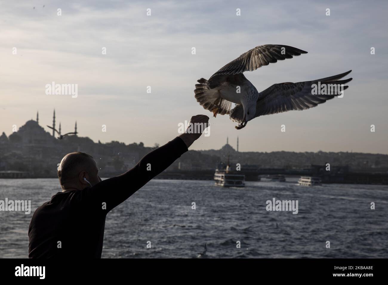 A man feeds a seagull during he sails in a ferry in Istanbul, Turkey on ...