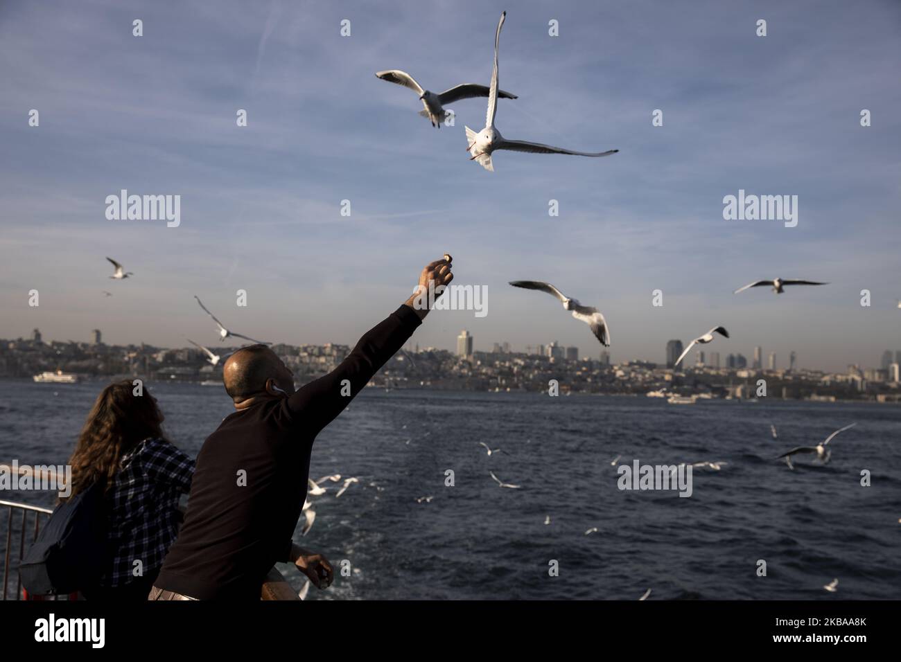 A man feeds a seagull during he sails in a ferry in Istanbul, Turkey on ...