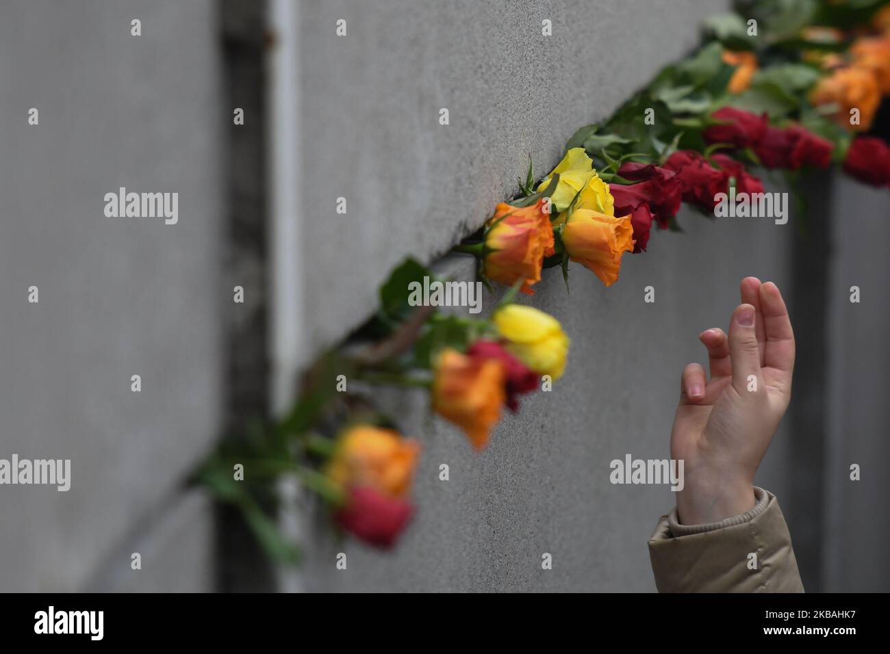 People place roses at a portion of the wall at Bernauer Strasse during ...