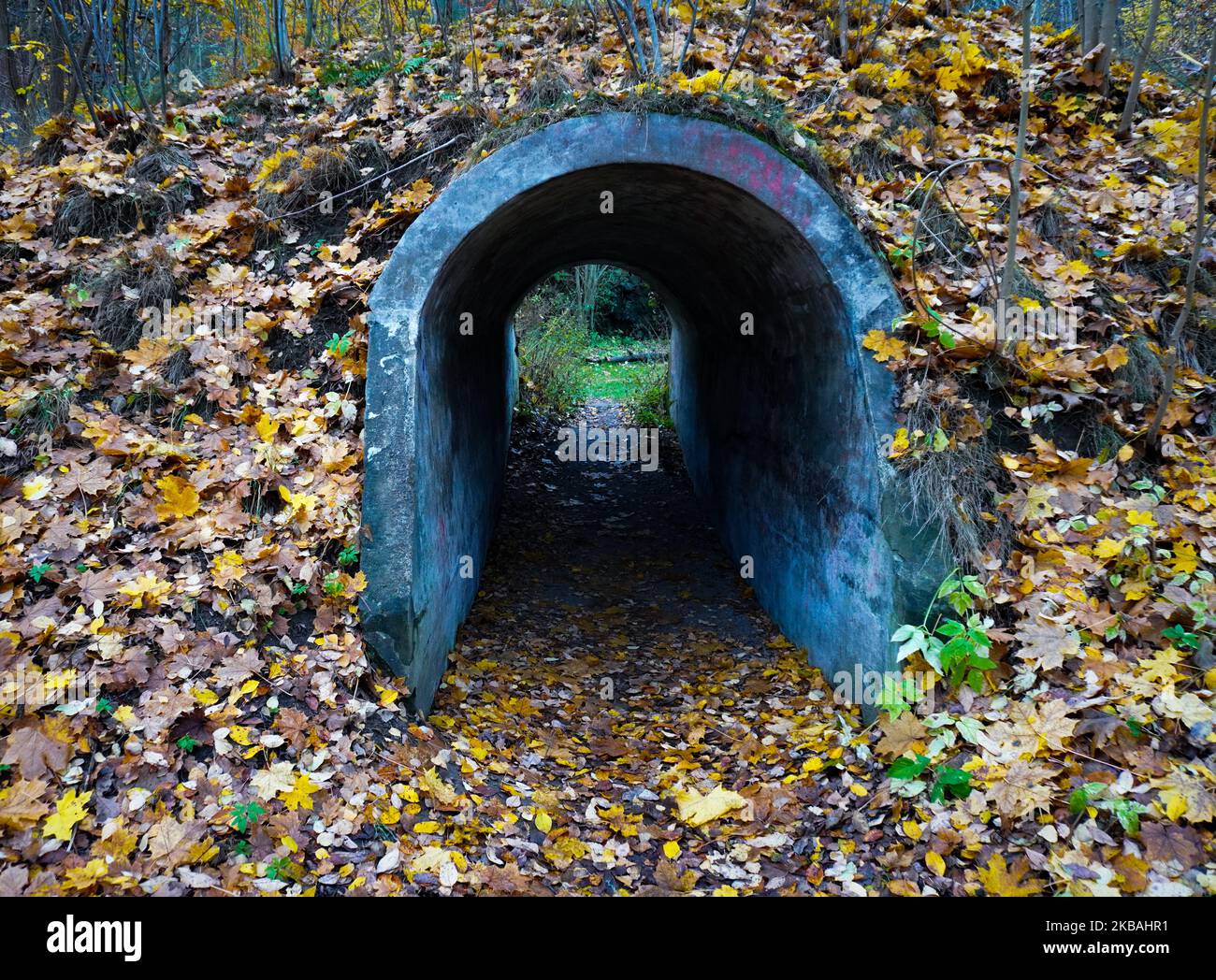 Small tunnel hi-res stock photography and images - Alamy