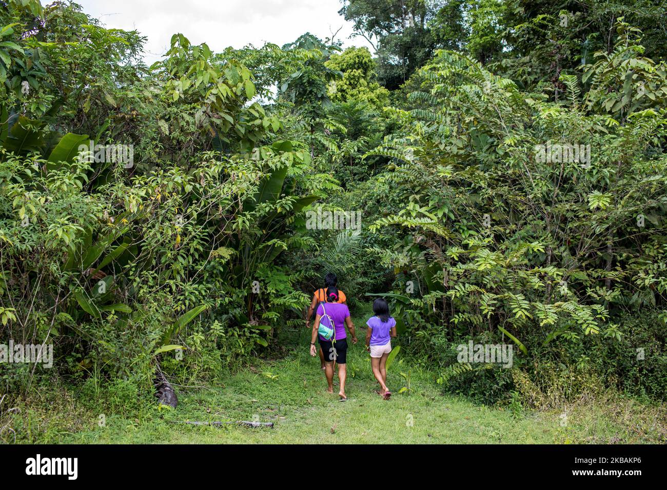 Maripasoula, France, June 30, 2019. The faithful leave Sunday Mass to ...