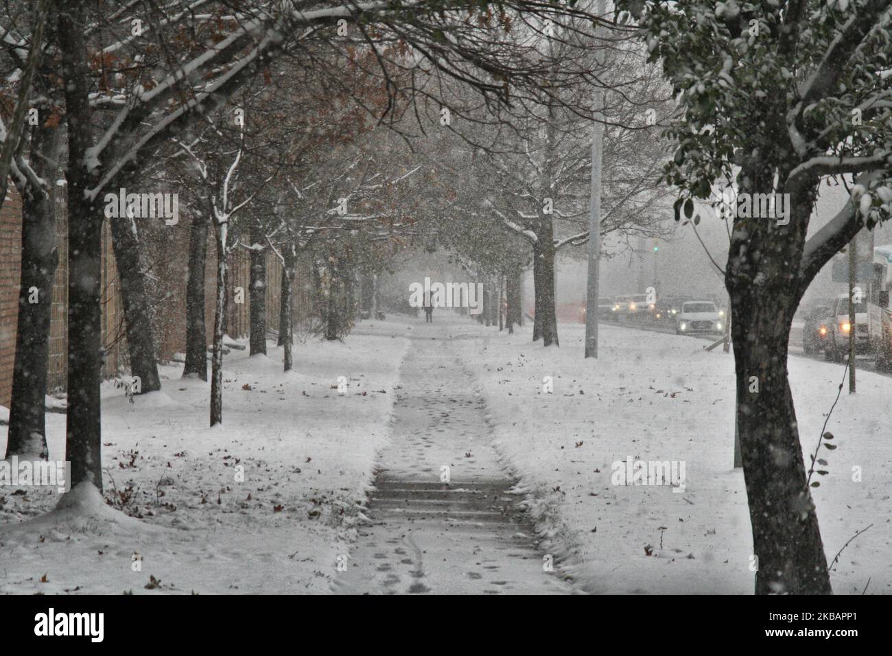 Canada winter fog 2019 hi-res stock photography and images - Alamy