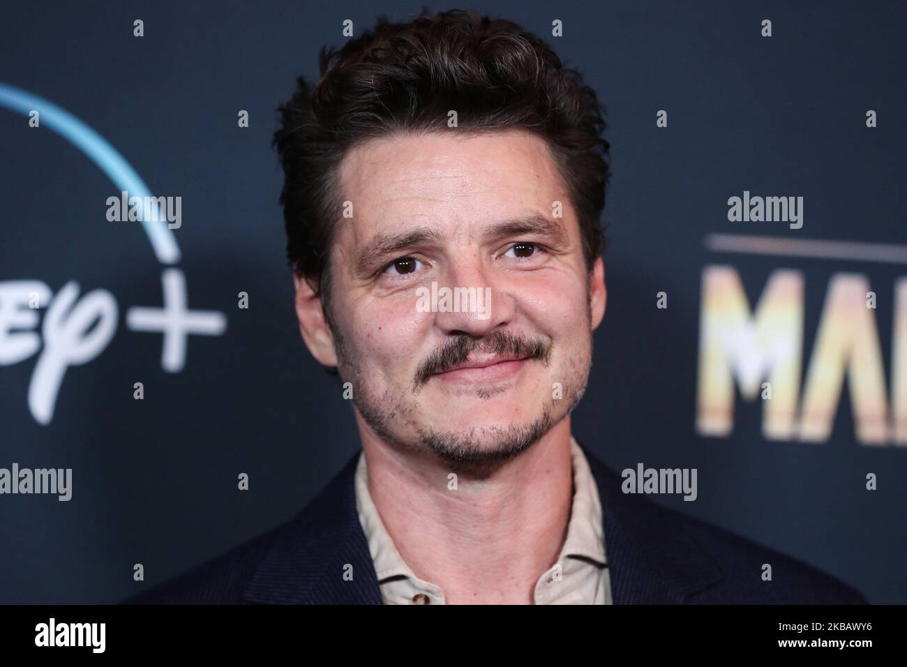 HOLLYWOOD, LOS ANGELES, CALIFORNIA, USA - NOVEMBER 13: Actor Pedro ...