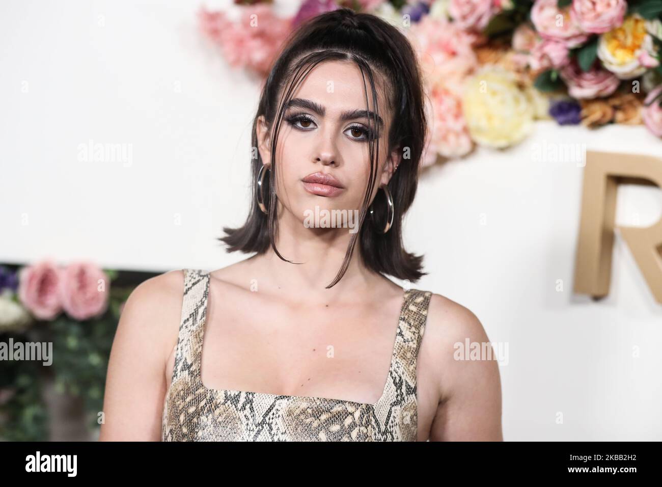 HOLLYWOOD, LOS ANGELES, CALIFORNIA, USA - NOVEMBER 15: Model Amelia ...