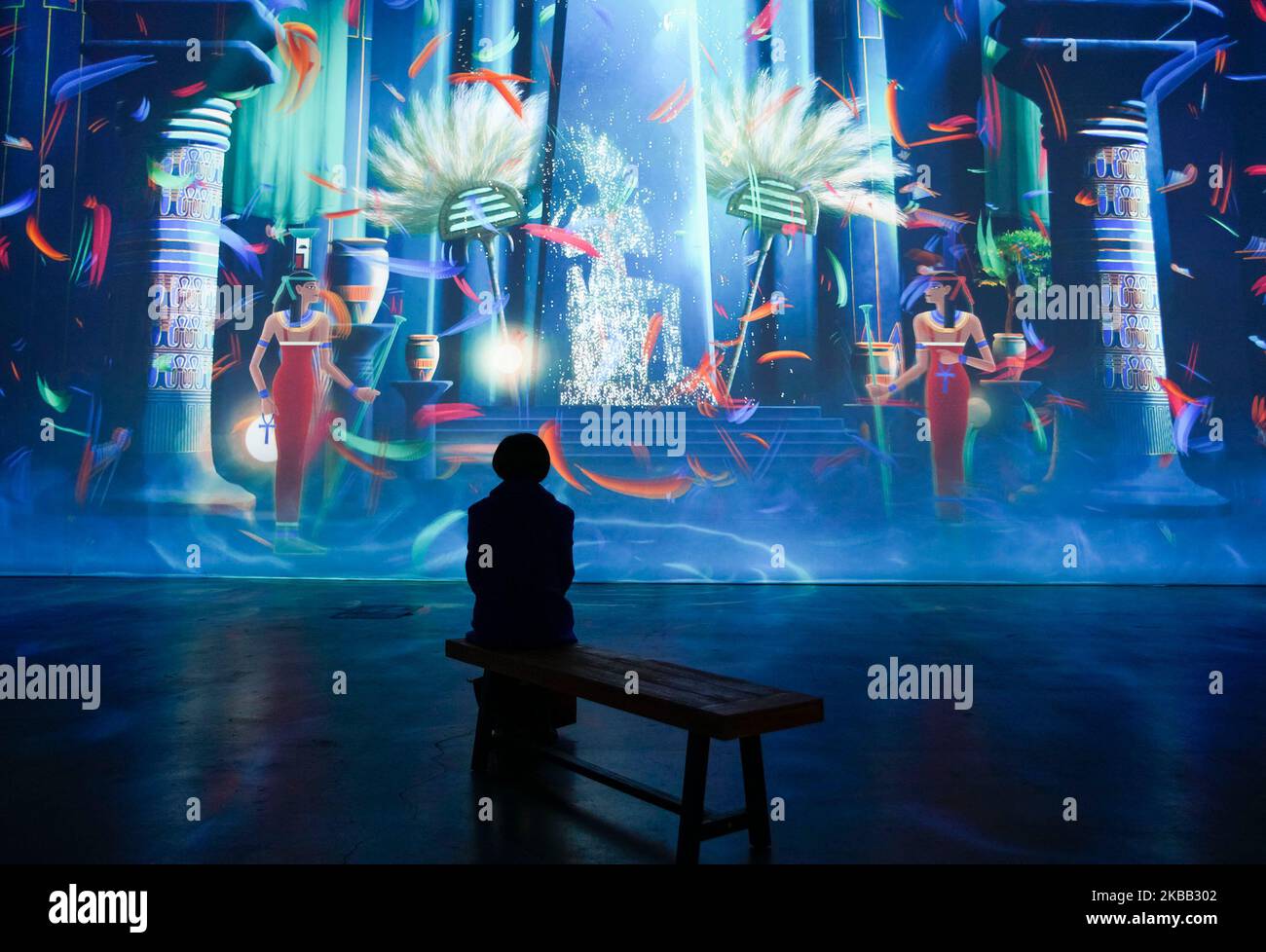 Vancouver, Canada. 3rd Nov, 2022. A visitor looks at a multi-media ...