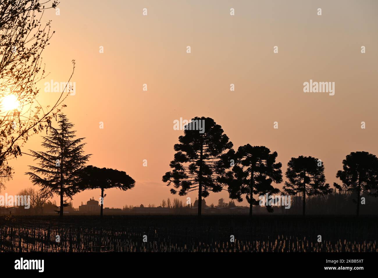 Landscape at sunset in a field in Chile Stock Photo - Alamy