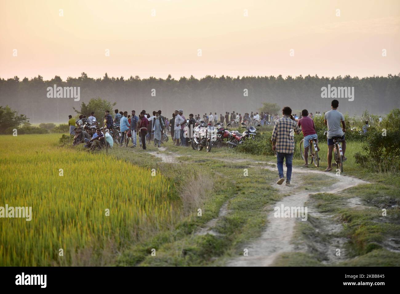 Rogue bull elephant hi-res stock photography and images - Alamy