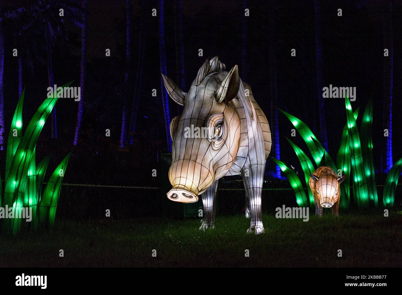 These luminous giants were designed by Colombians and since January ...