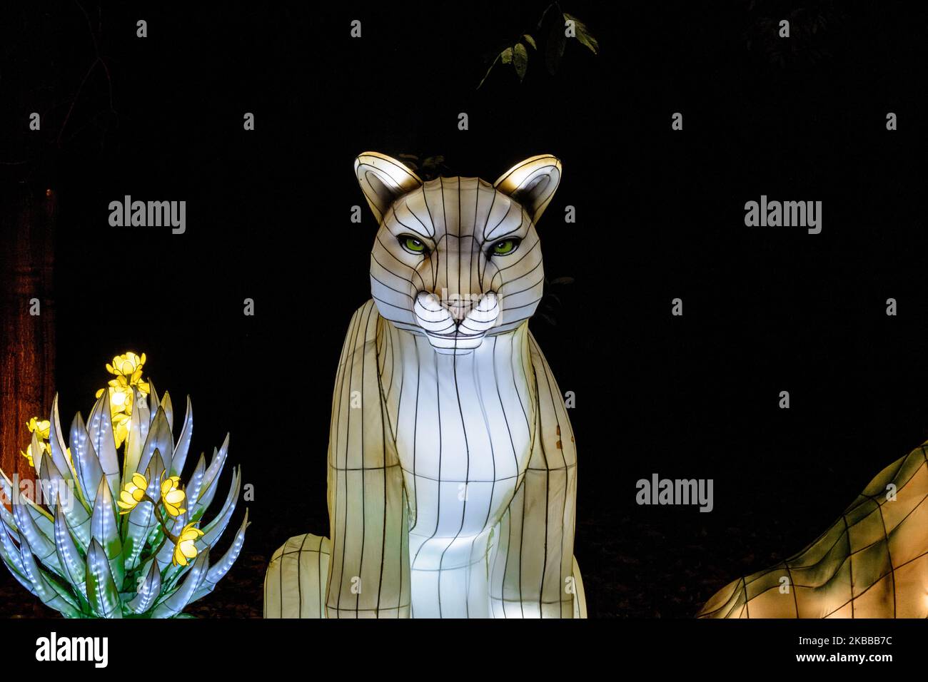 These luminous giants were designed by Colombians and since January ...