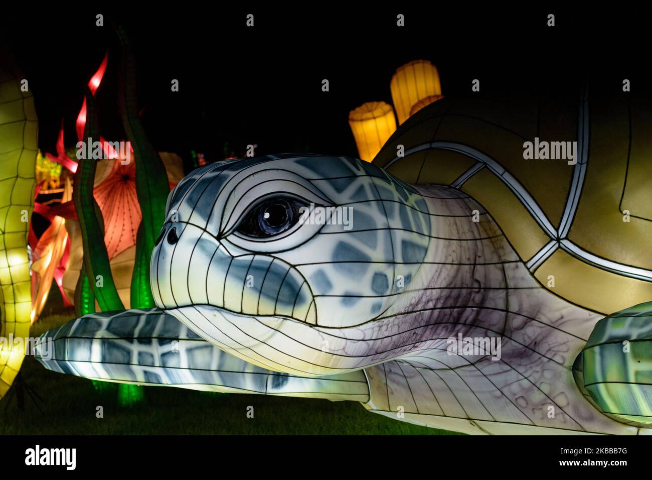 These luminous giants were designed by Colombians and since January ...