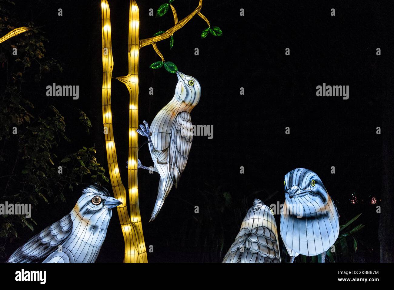 These luminous giants were designed by Colombians and since January ...