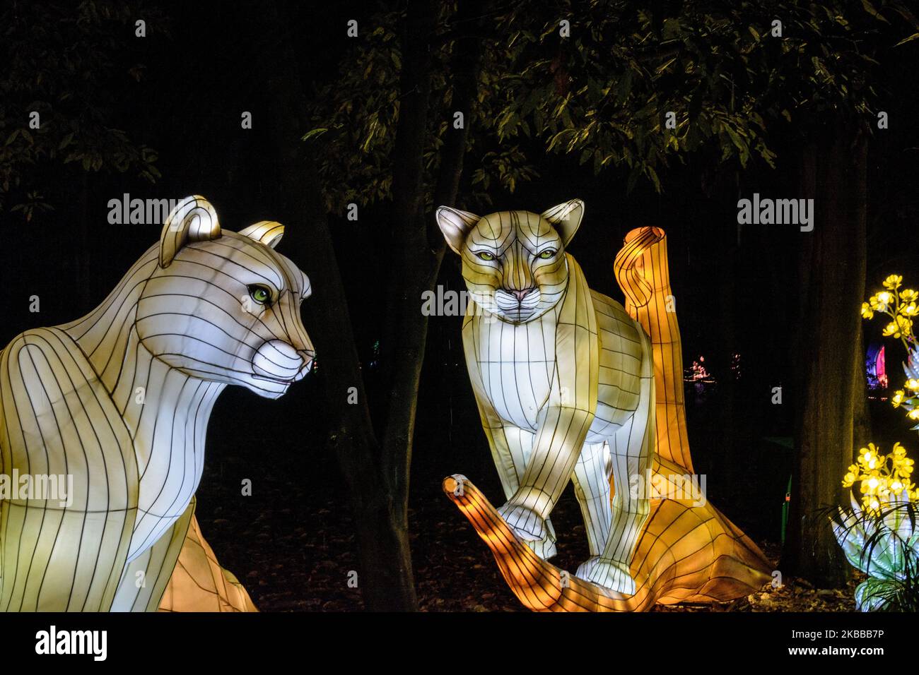 These luminous giants were designed by Colombians and since January ...