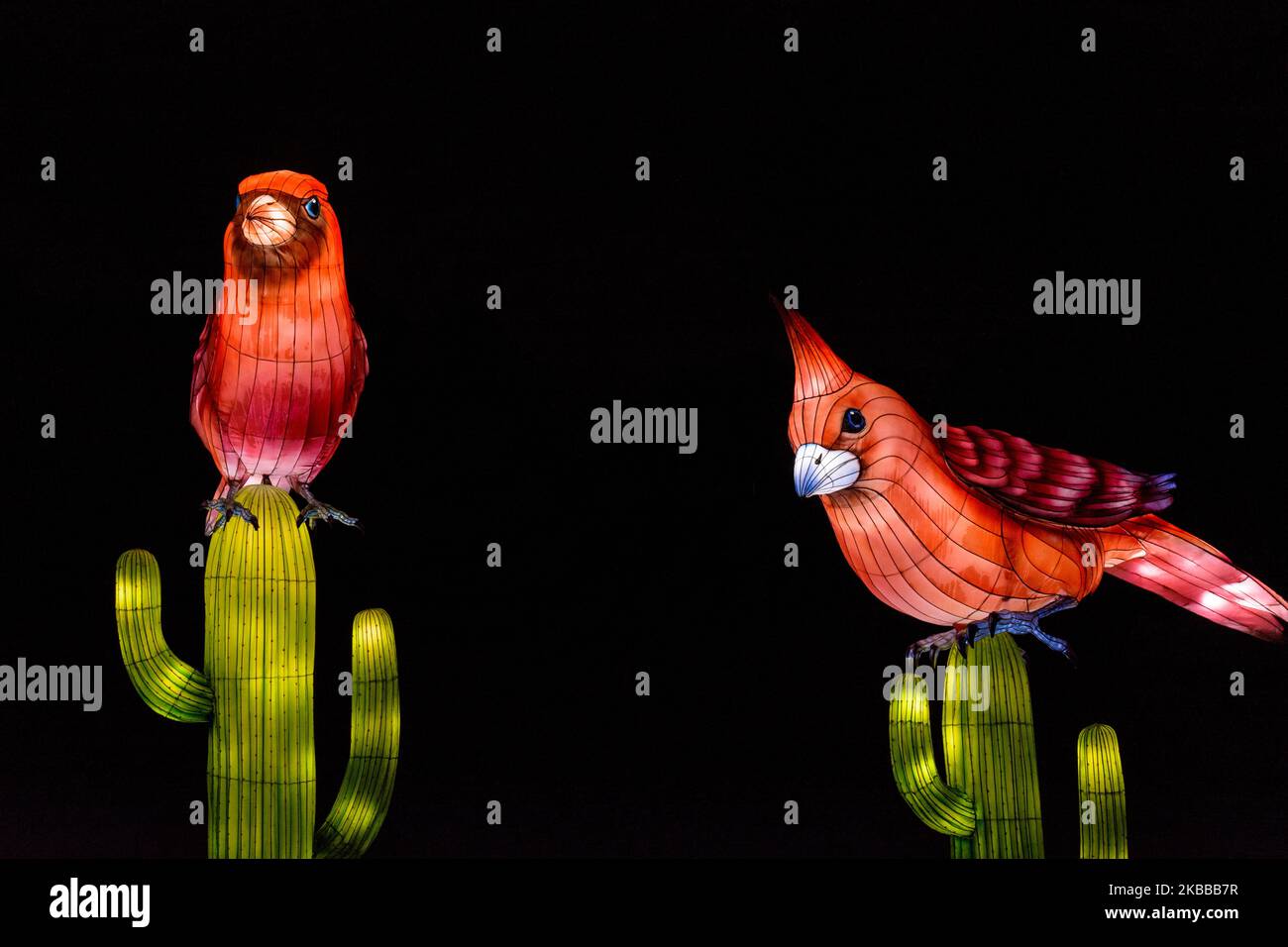 These luminous giants were designed by Colombians and since January ...