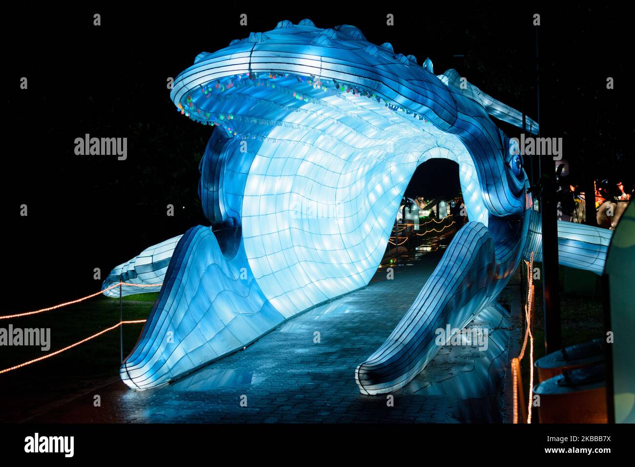 These luminous giants were designed by Colombians and since January ...