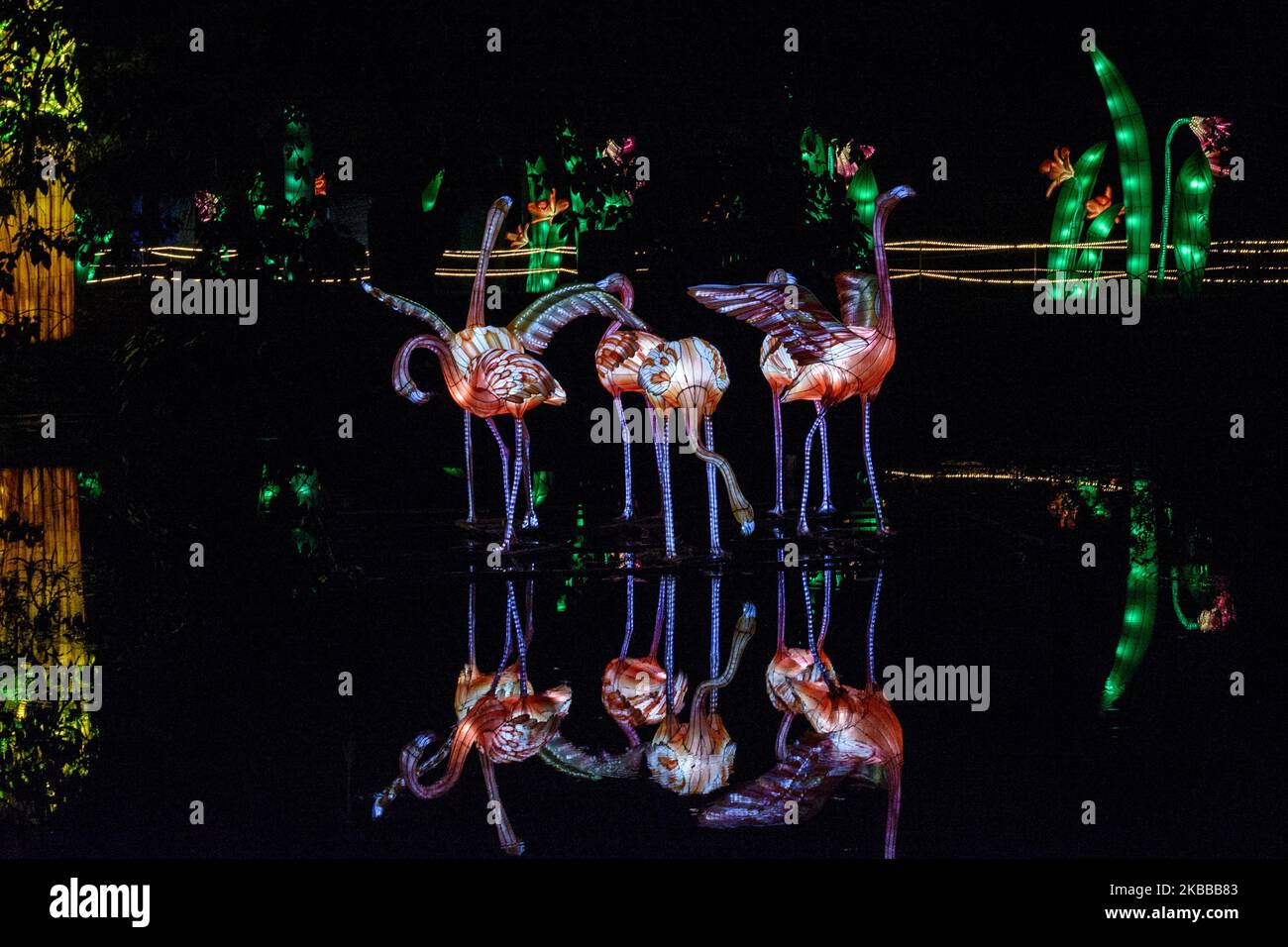 These luminous giants were designed by Colombians and since January ...