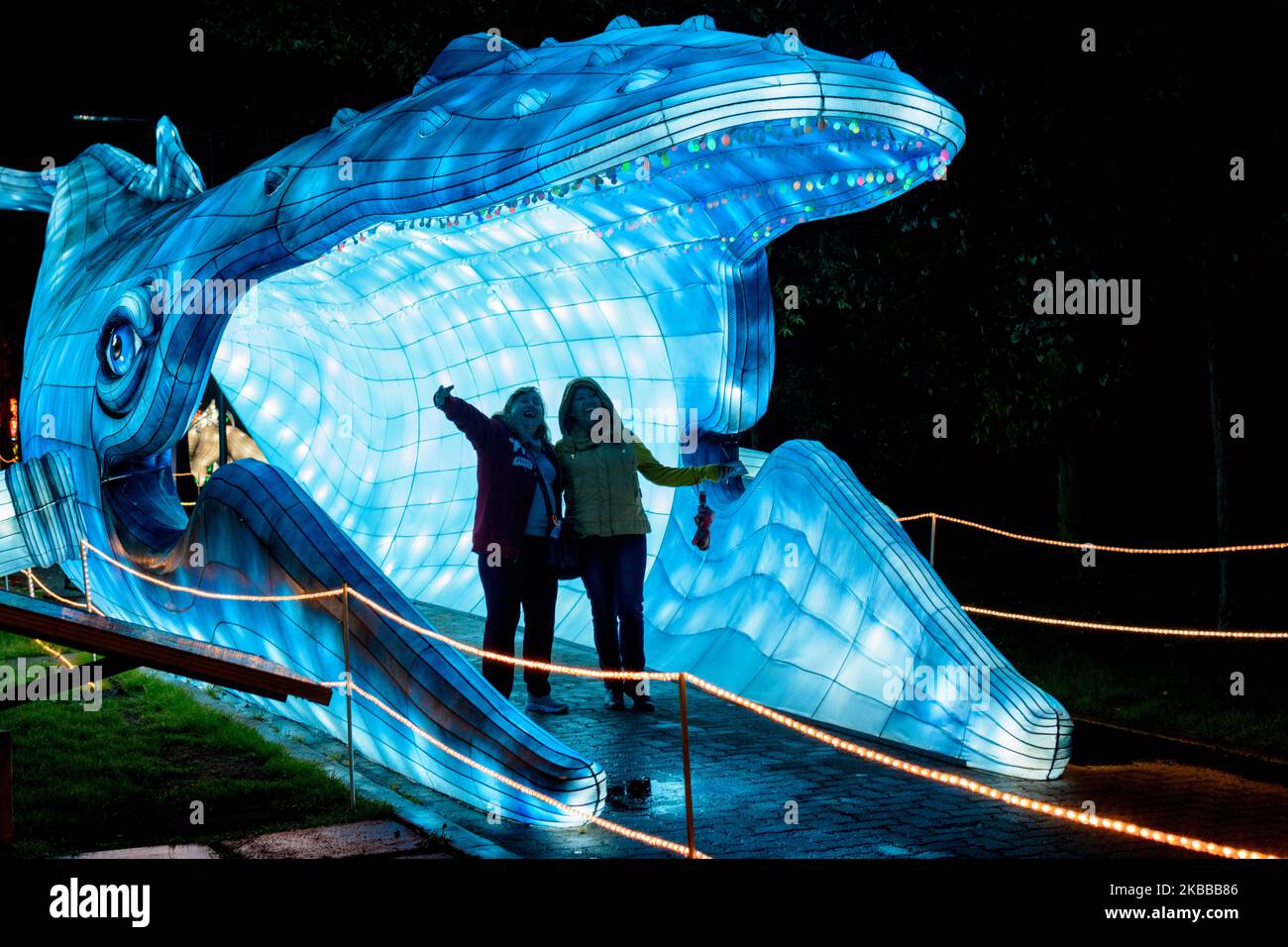 These luminous giants were designed by Colombians and since January ...