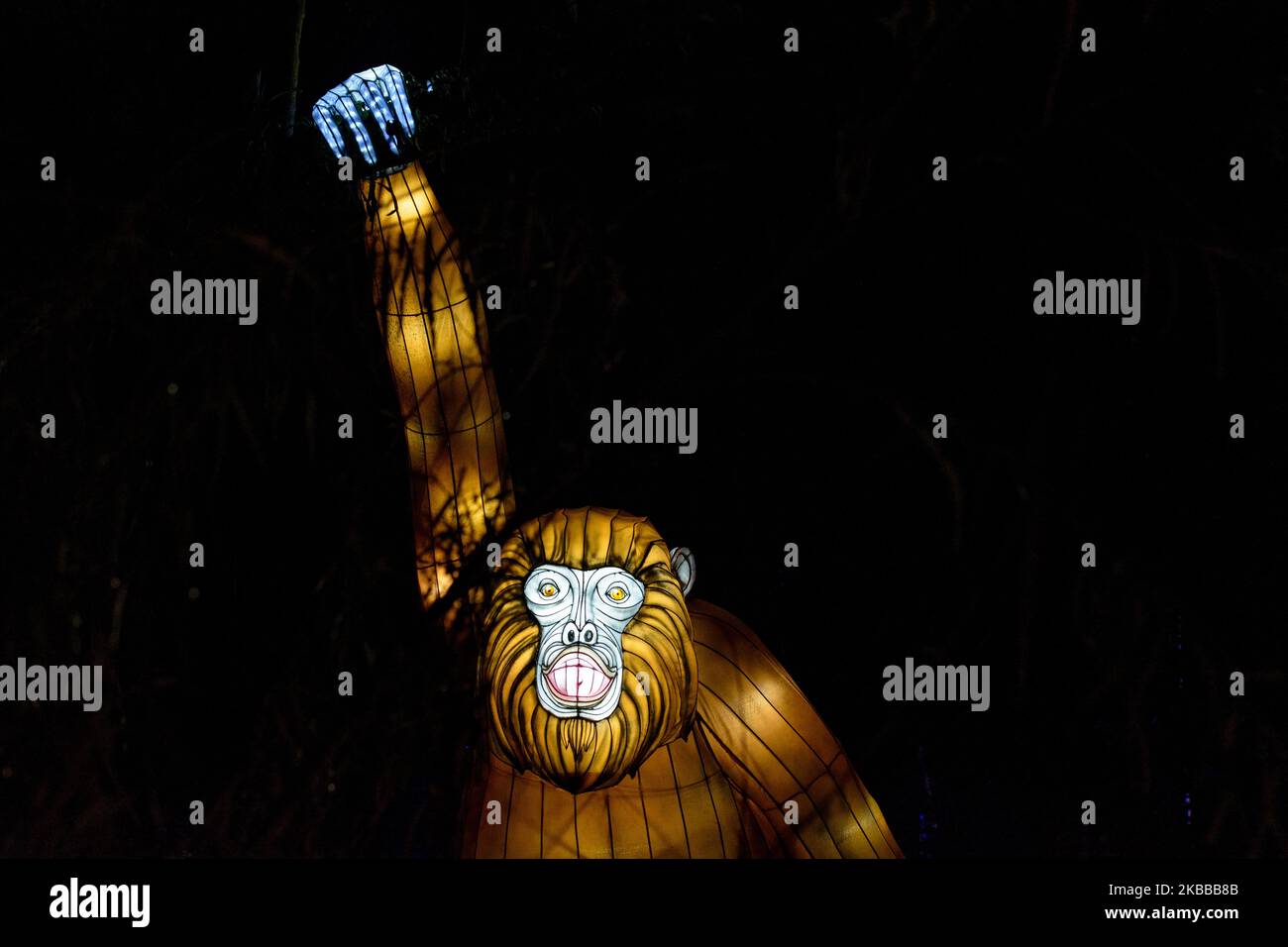 These luminous giants were designed by Colombians and since January ...