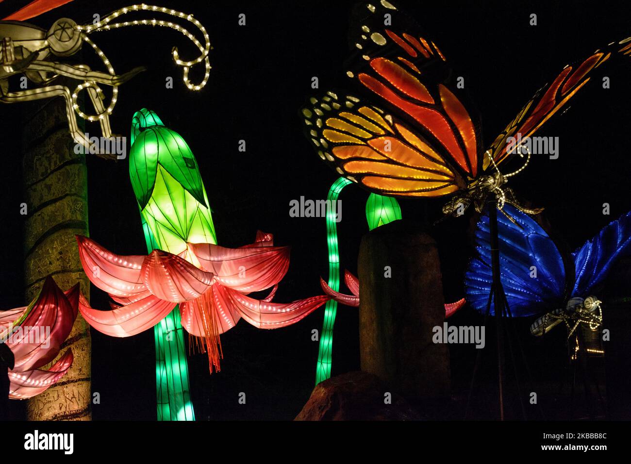 These luminous giants were designed by Colombians and since January ...