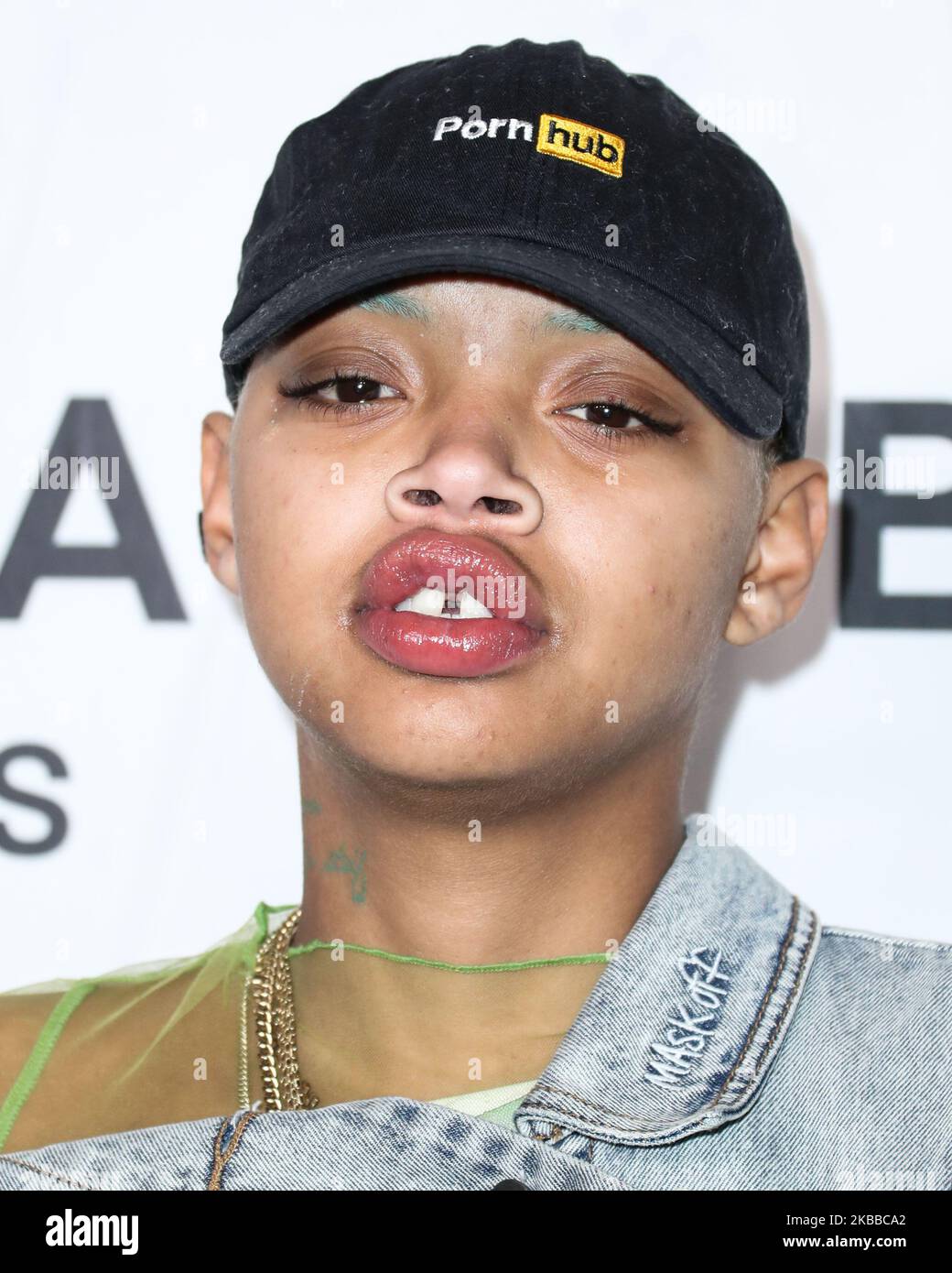 HOLLYWOOD, LOS ANGELES, CALIFORNIA, USA - NOVEMBER 21: Model Slick ...