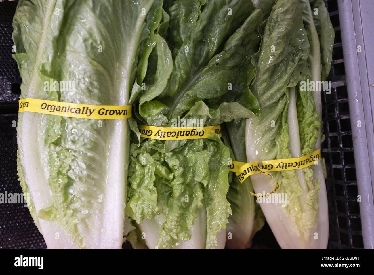 Usda inspection mark hi-res stock photography and images - Alamy