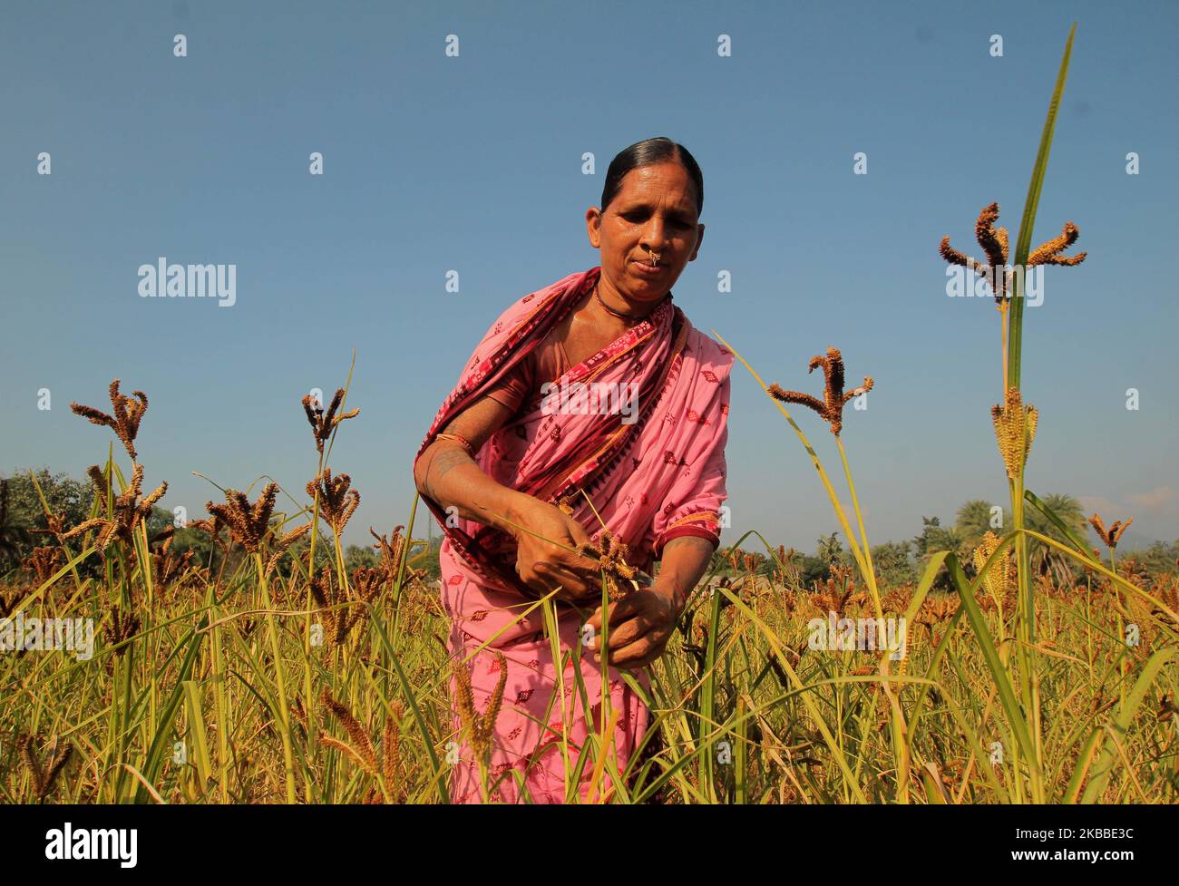 Local tribal villager of the Kandhamal district are seen at their ...
