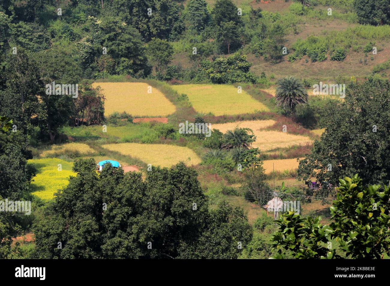 Agricultural field are seen in between the hill ranges before the ...
