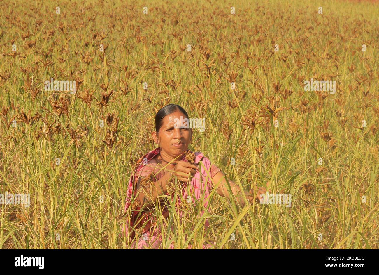 Help of governments millet mission facilities hi-res stock photography ...