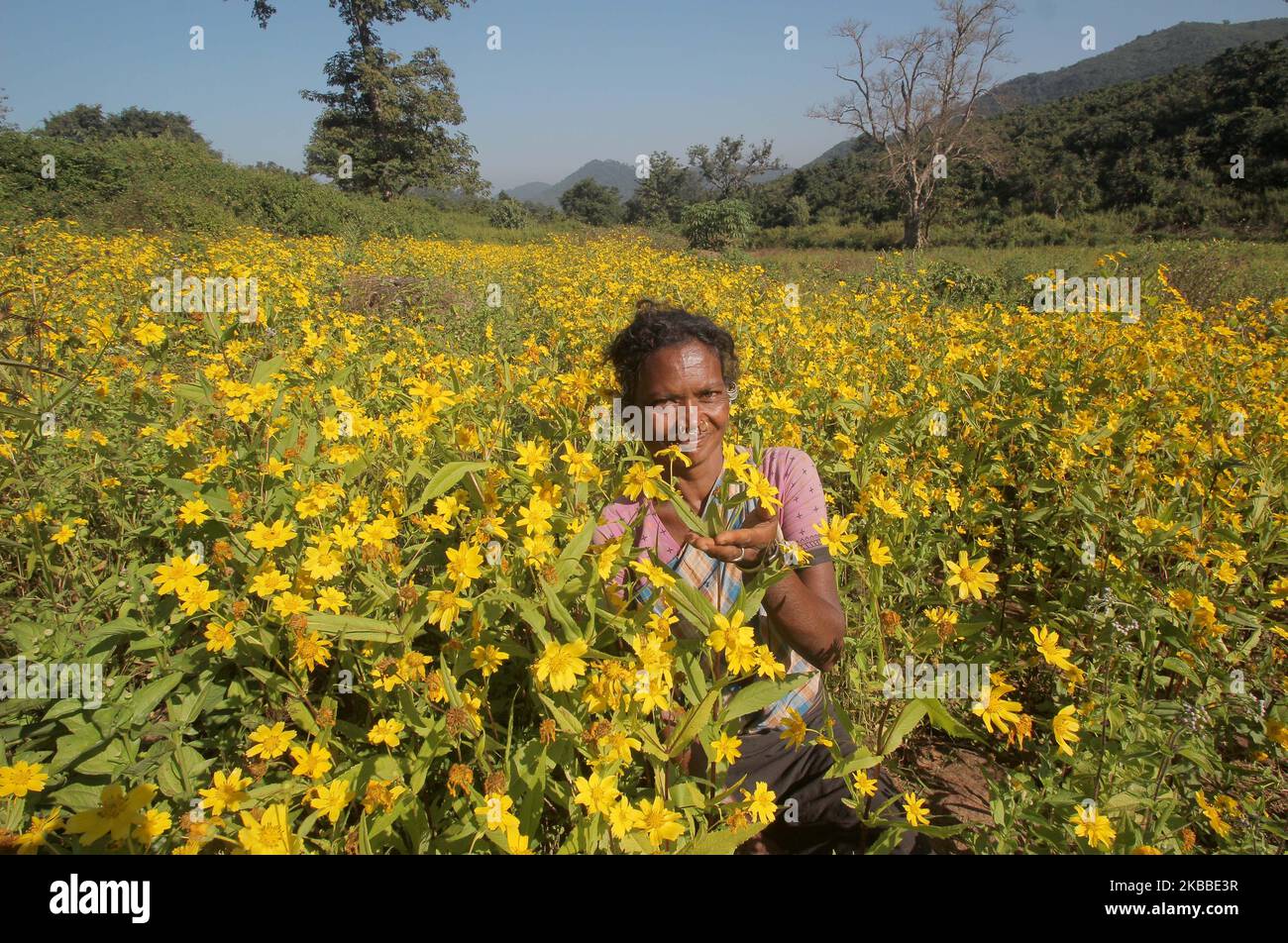 Kondh caste tribes hi-res stock photography and images - Alamy