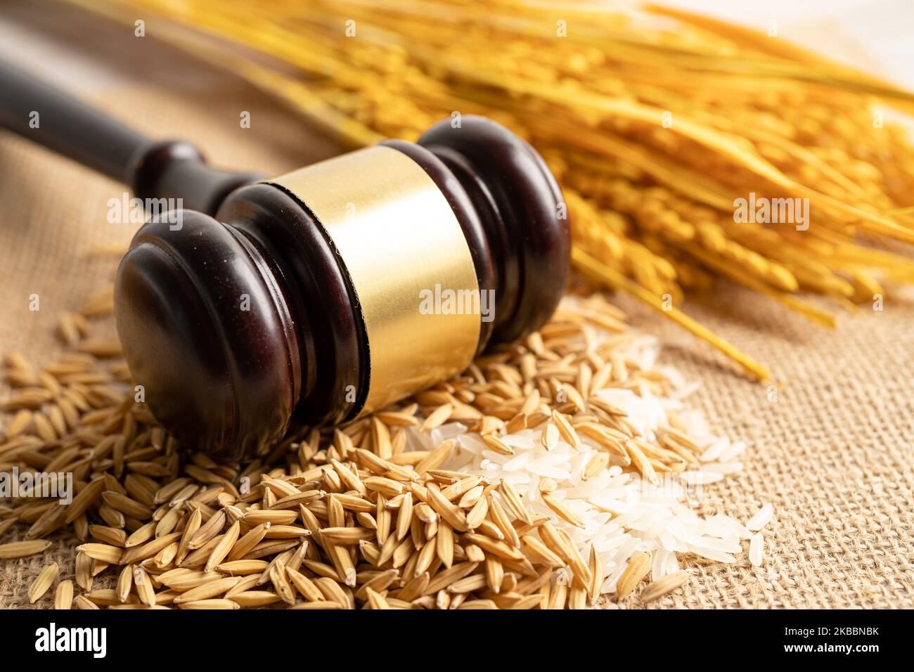 Judge gavel hammer with good grain rice from agriculture farm. Law and ...