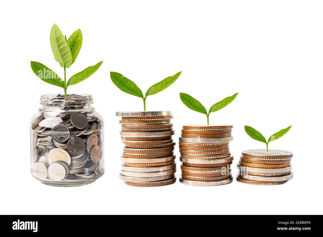 Tree leaf on save money coins, Business finance saving banking ...