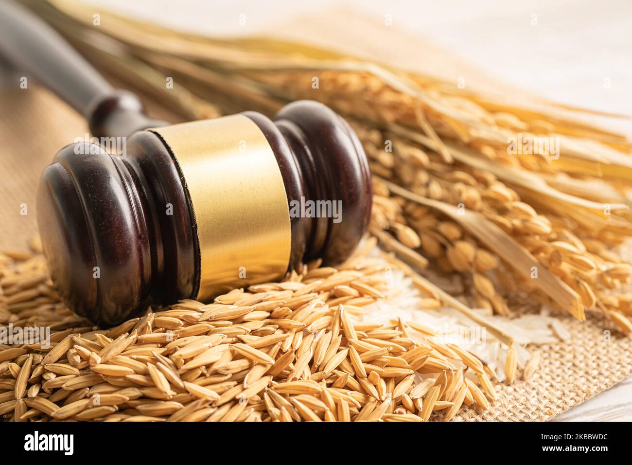 Judge gavel hammer with good grain rice from agriculture farm. Law and ...