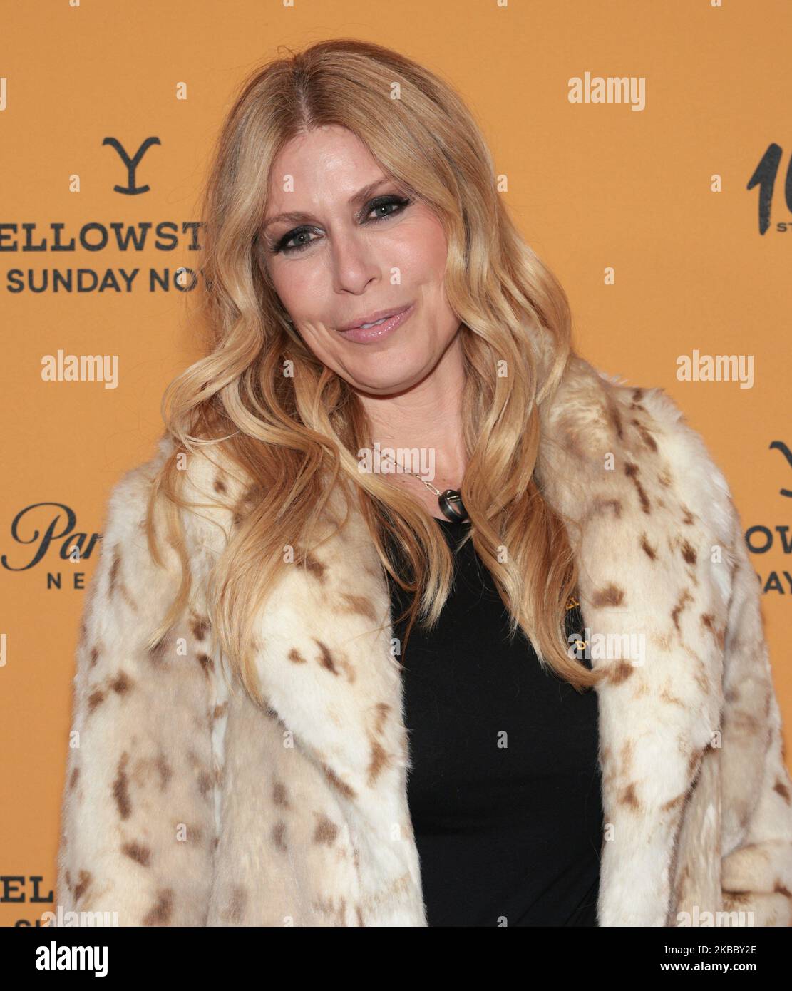 New York, NY, USA. 3rd Nov, 2022. Jill Martin at arrivals for ...