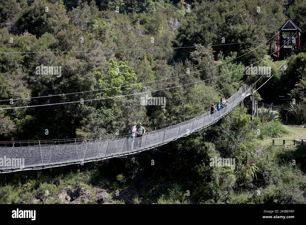 Visitors crossÂ Buller Gorge Swingbridge, New Zealand's longestÂ on the ...