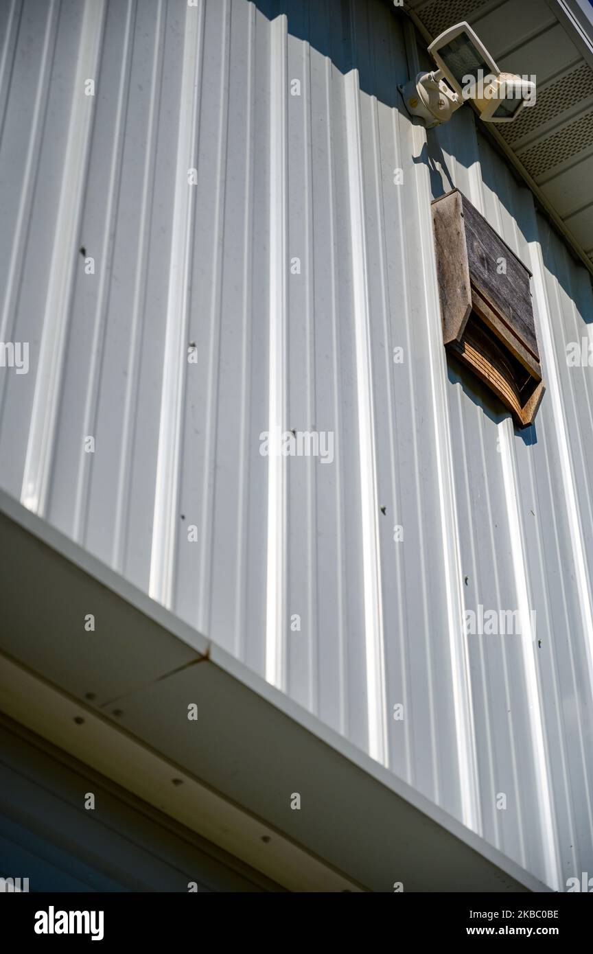 Wooden bat house on white corrugated tin barn Stock Photo - Alamy
