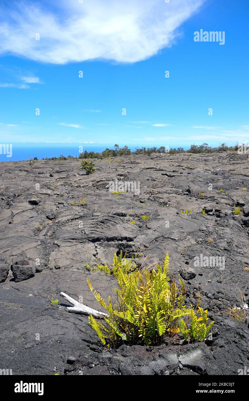 The picturesque steaming craters and lava streams around Mauna Ulu ...