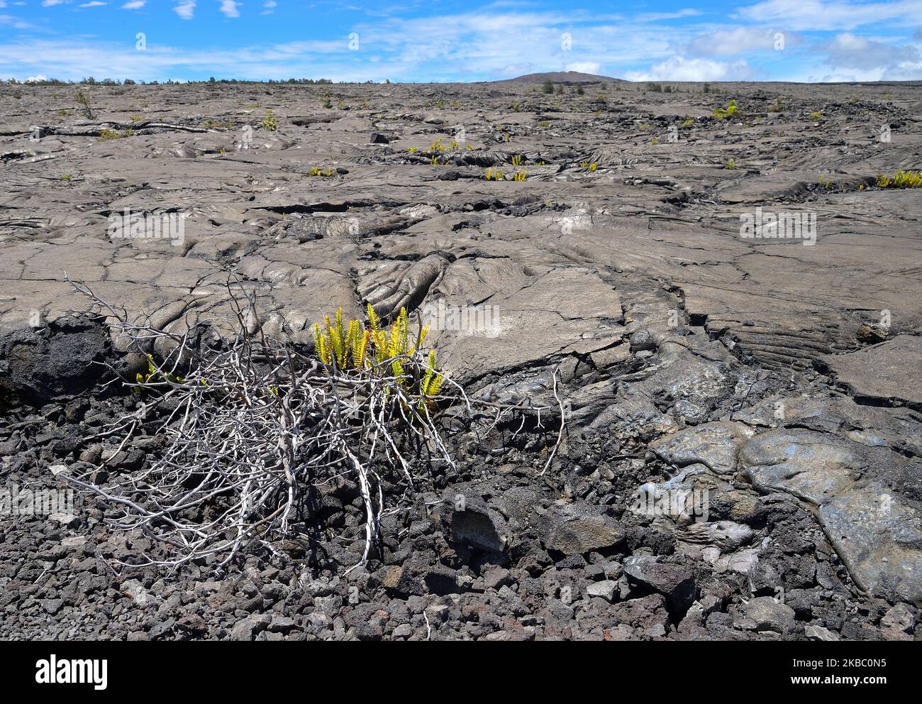The picturesque steaming craters and lava streams around Mauna Ulu ...
