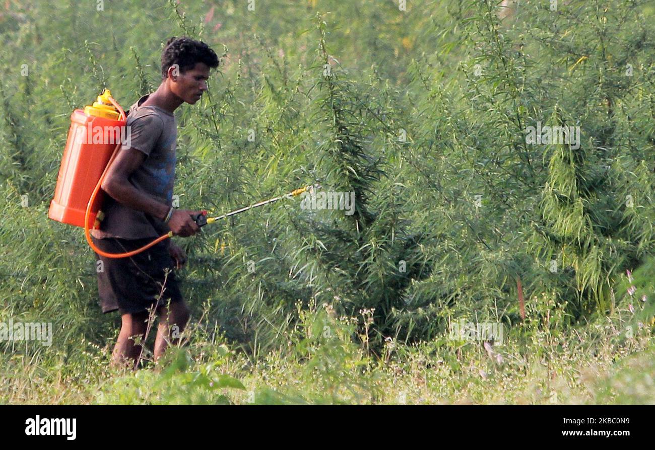 Villagers are seen inside the Balimela reservor as they moves out by ...