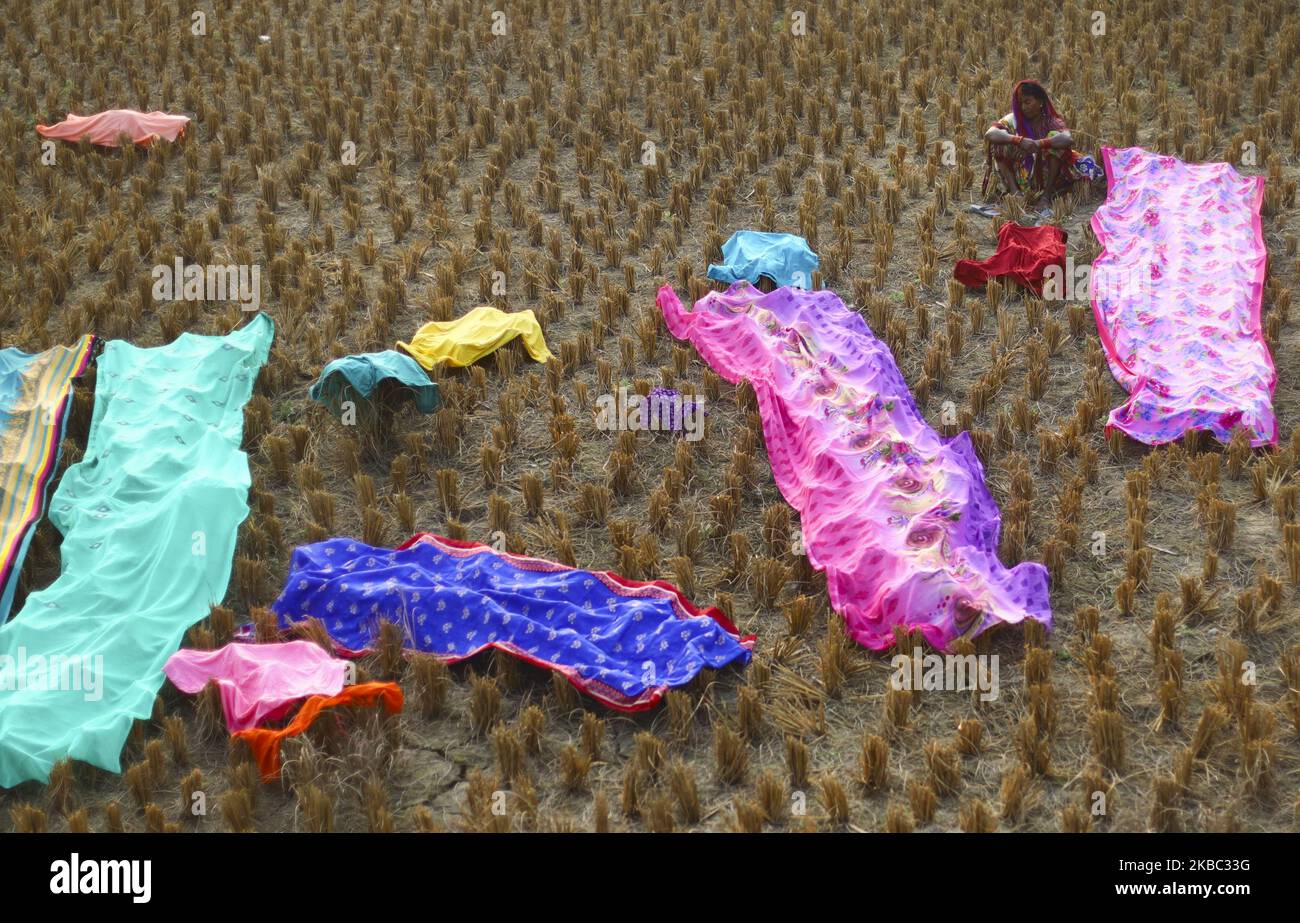 Major day of gadhimai festival hi-res stock photography and images - Alamy