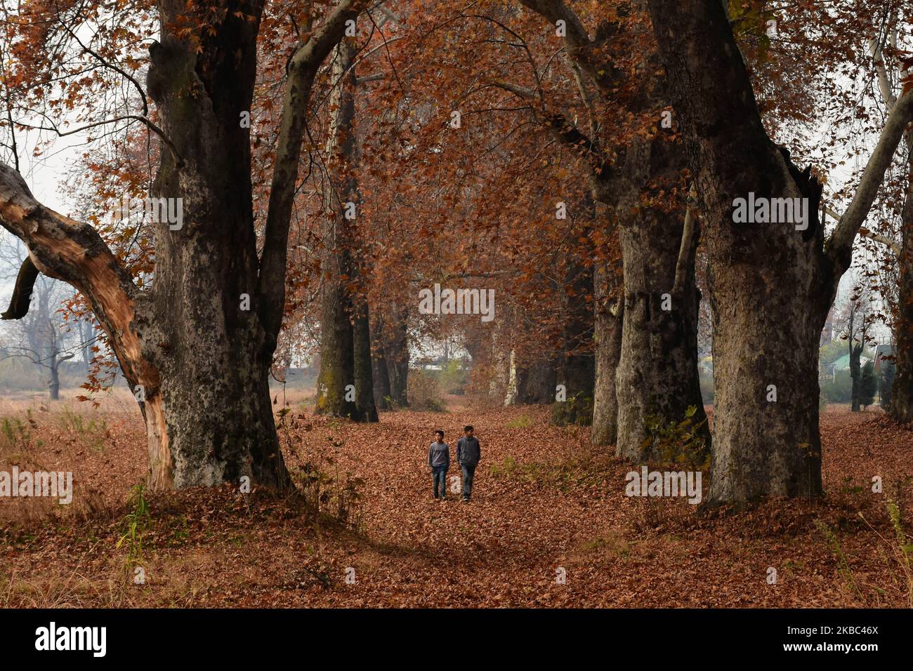 kids walk inside Nisht bagh after Autumn arrives in Indian Administered ...