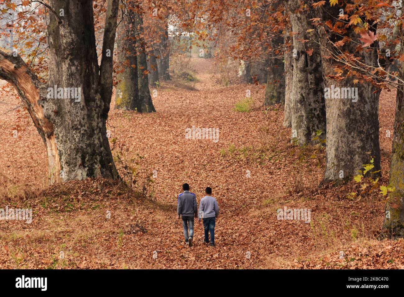 kids walk inside Nisht bagh during Autumn season in Indian Administered ...