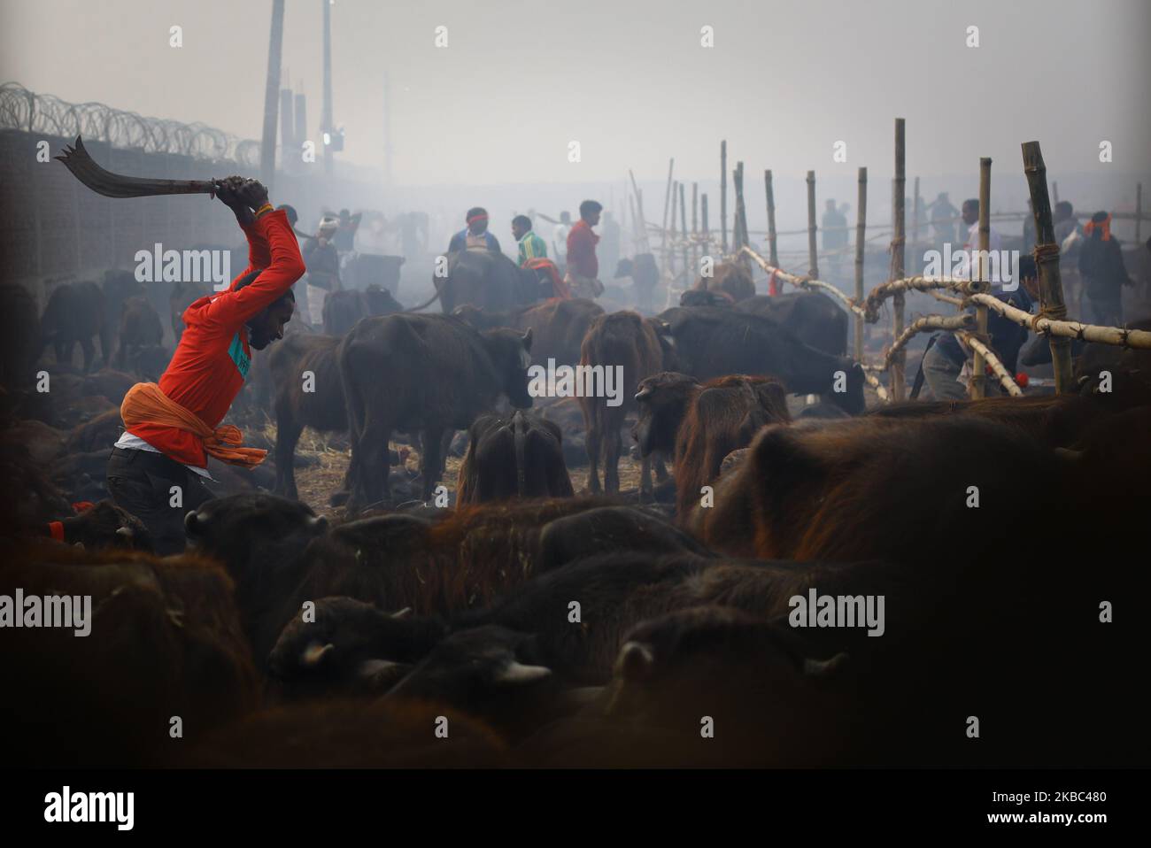 Butchers with butcher knives participate in religious rituals before ...