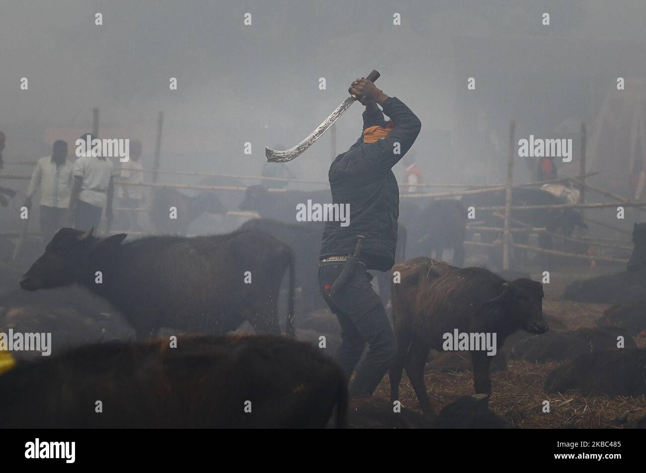 Butchers with butcher knives participate in religious rituals before ...