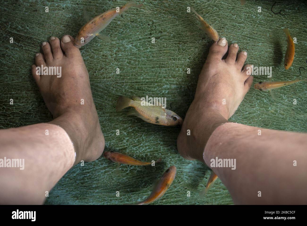 A restaurant in Yogyakarta provide fish to eath the feet of visitors ...