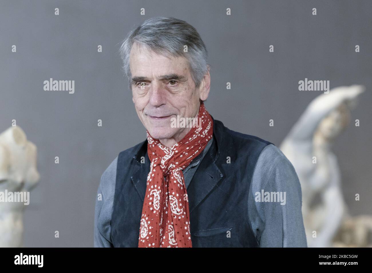 Actor Jeremy Irons attends 'Pintores y Reyes del Prado' photocall at El ...