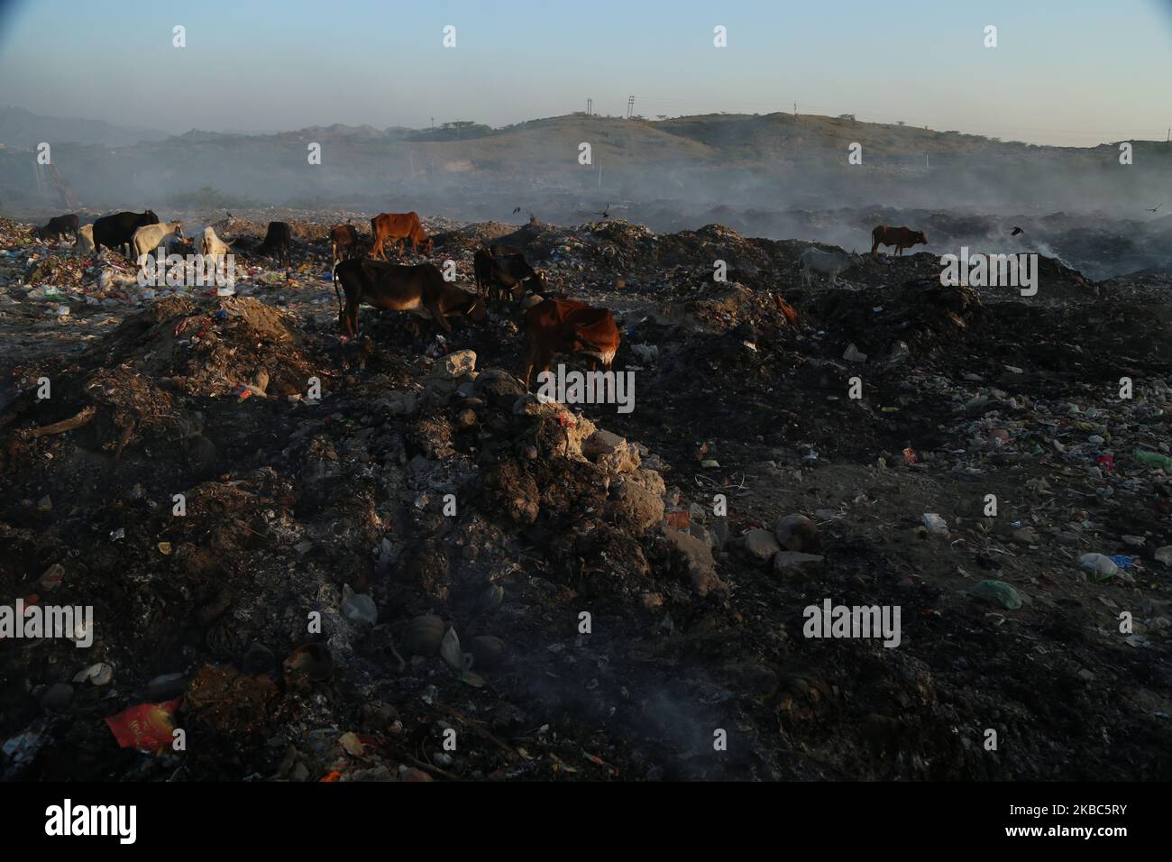 Waste material india hi-res stock photography and images - Alamy