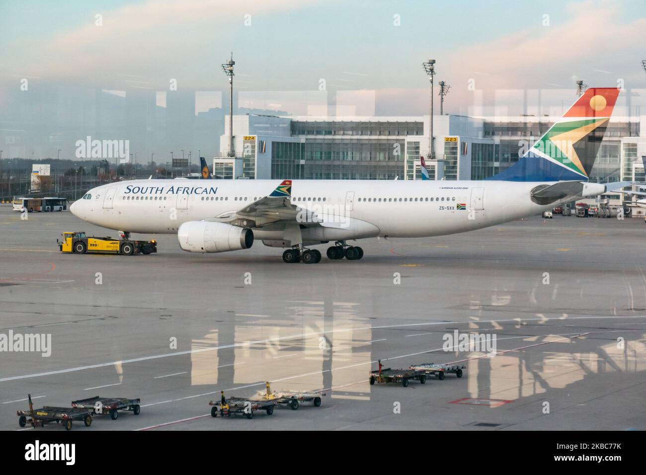 The springbok wing hi-res stock photography and images - Alamy